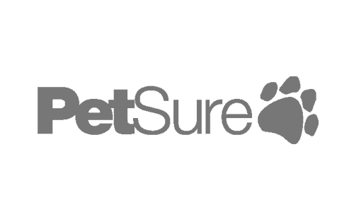 About Us | Yoghurt Digital